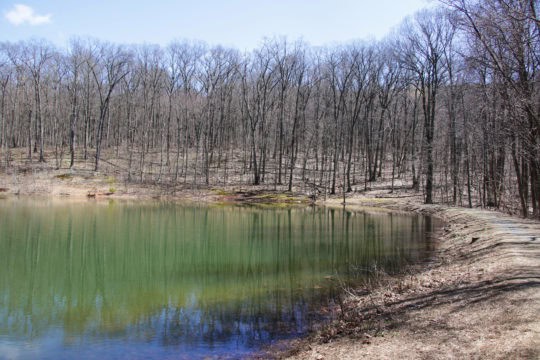 Boyd Big Tree Preserve Trails - Susquehanna Greenway