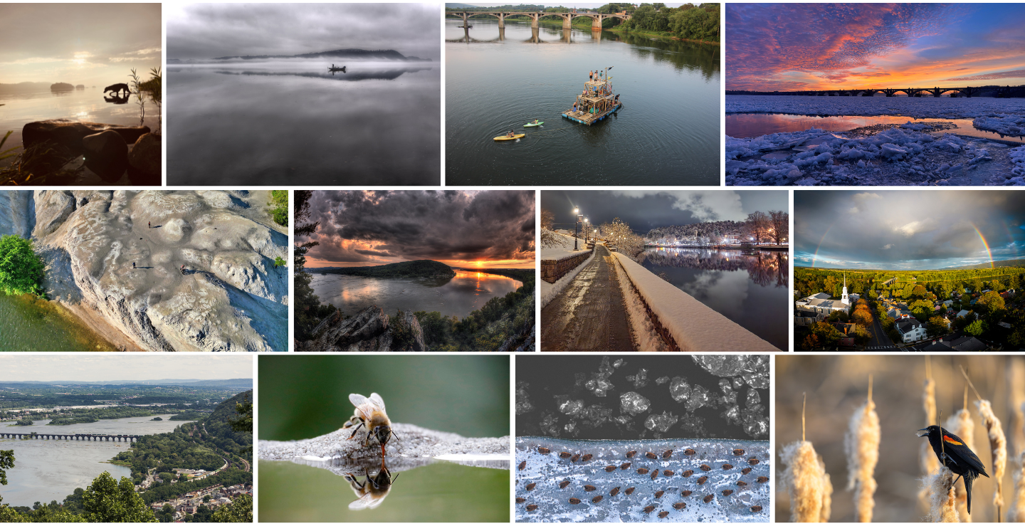 2024 Photo Contest Winners Announced - Susquehanna Greenway